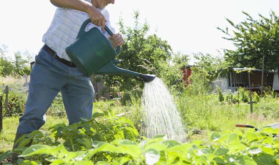 Działkowcy zapłacą za wodę 4 zł rocznie - Bankier.pl
