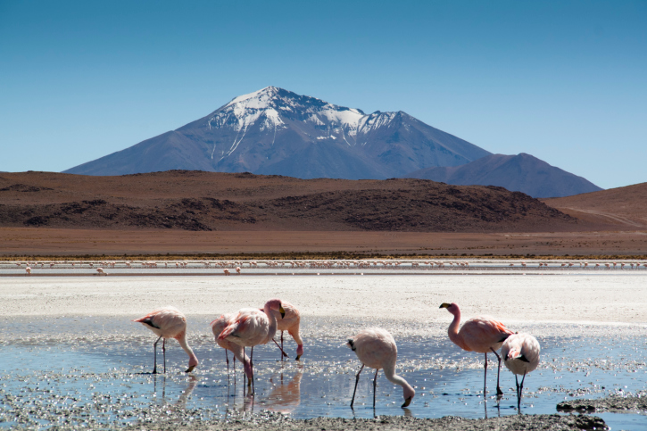 Tam mieszkam: Boliwia (odc. 2) - Bankier.pl